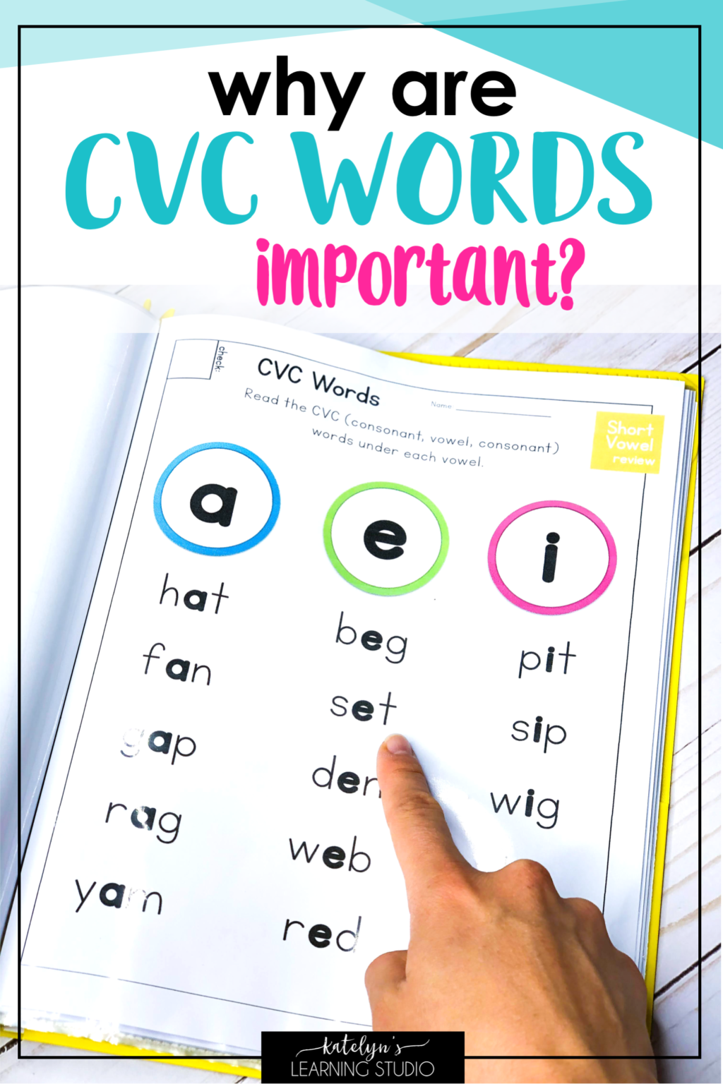 The Best CVC Words Activities and Worksheets